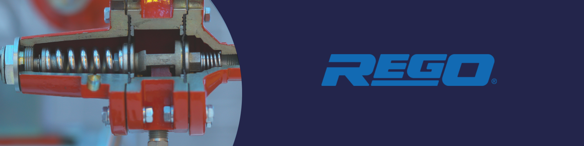 REGO Valves - DMC Gas Equipment Ltd